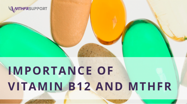 Importance of vitamin B12 and MTHFR | MTHFR Support Australia