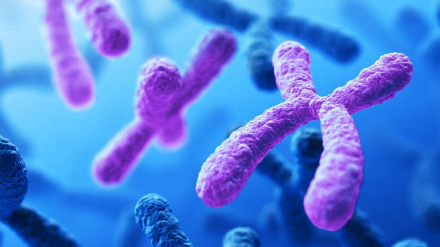 How to best understand your genetics | MTHFR Support Australia