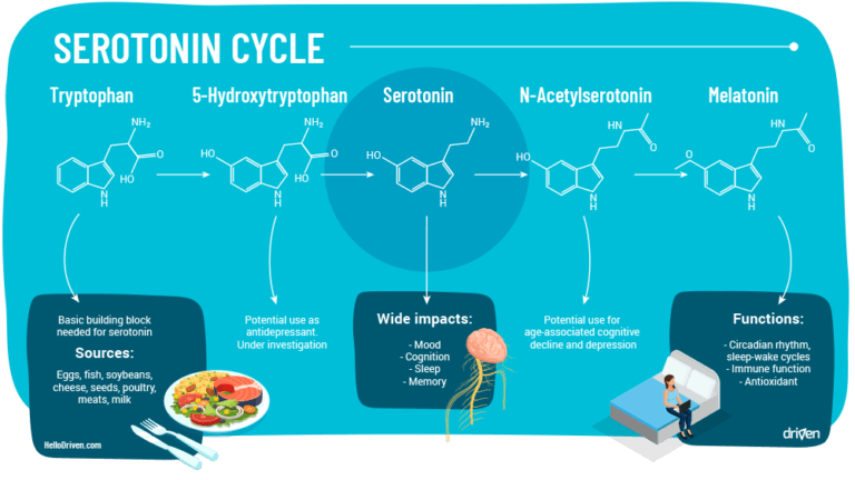 Serotonin Facts Worth Sharing With Patients | MTHFR Support Australia