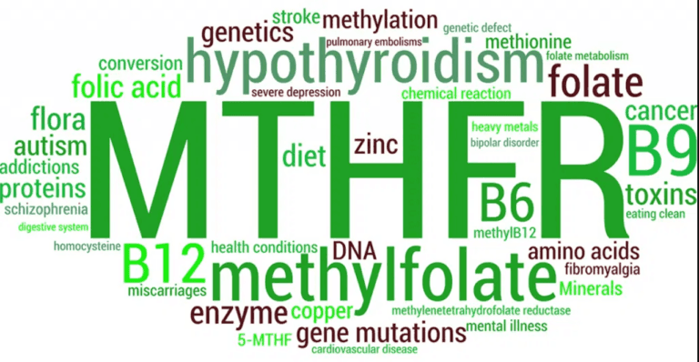 The Role of MTHFR in Thyroid Conditions: A Deep Dive into the ...